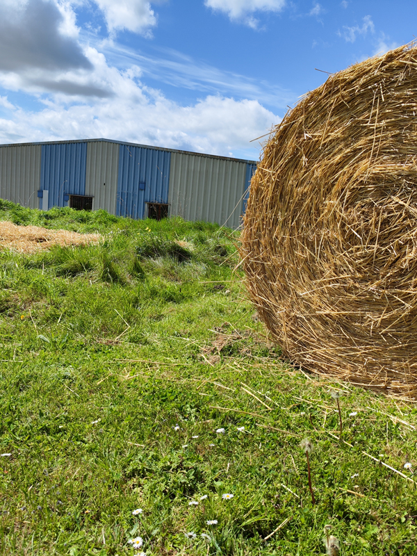 Bong develops permaculture at the factory | Bong Packaging
