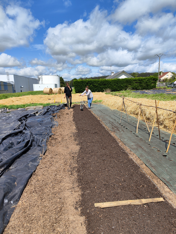 Bong develops permaculture at the factory | Bong Packaging