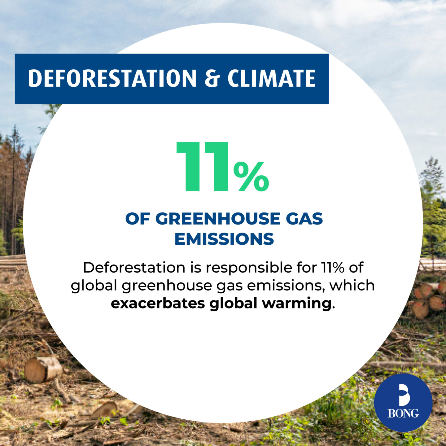 EU Deforestation Regulation - 5 key measures | Bong Packaging